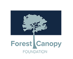 COLLECTION OF BENEFITS – Forest Canopy Foundation