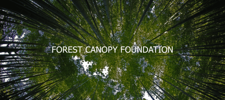 Forest Canopy Foundation