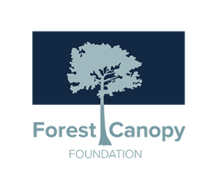 ABOUT US – Forest Canopy Foundation